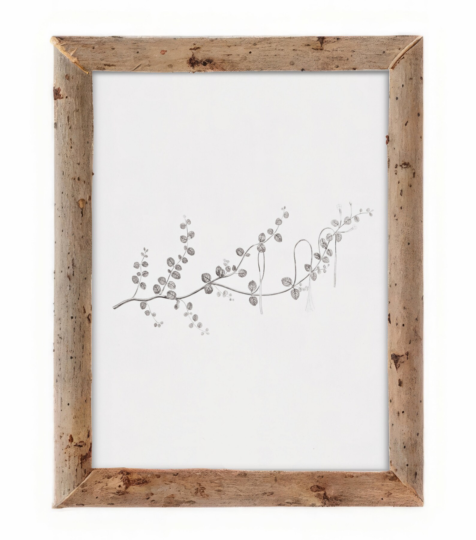 Neutral Botanical Print, Botanical Wall Art, Leaf Art, Botanical Prints ...