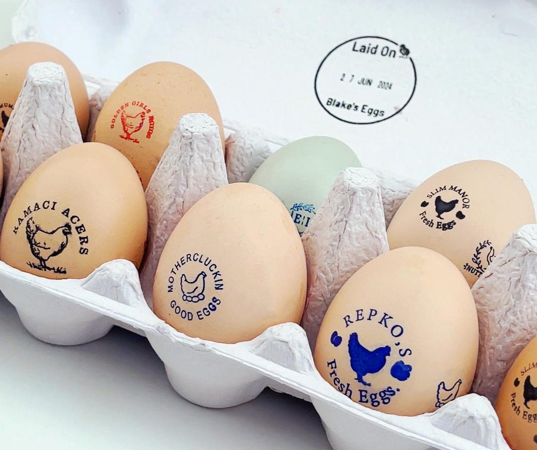 Personalized Egg Stamp,custom Fresh Egg Stamp,hens Egg Stamp,ducks Egg ...