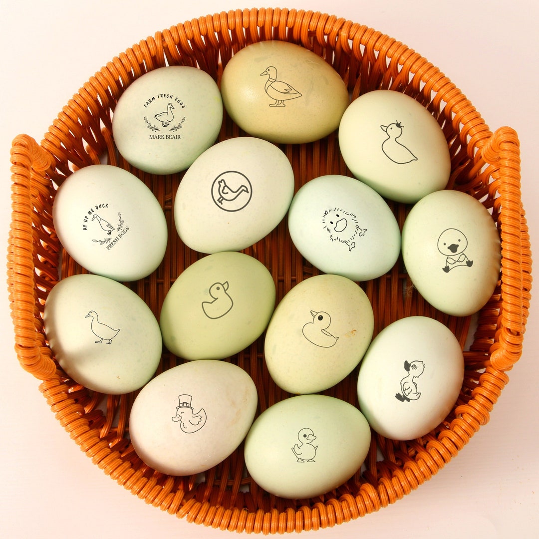 Custom Duck Egg Stamp , Egg Stamp ,duck Carton Stamp, Fresh Duck Stamp ...