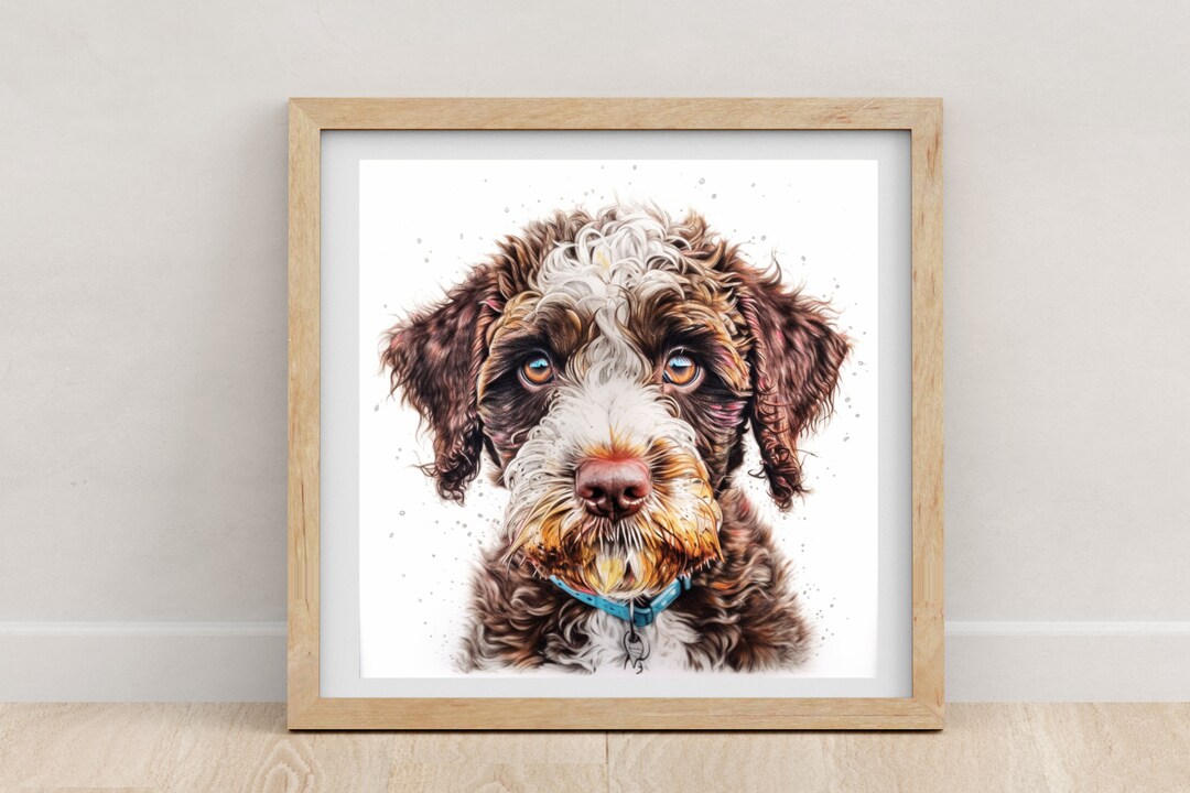 Lagotto Romagnolo Print | Lagotto Romagnolo | Lagotto Romagnolo Poster ...