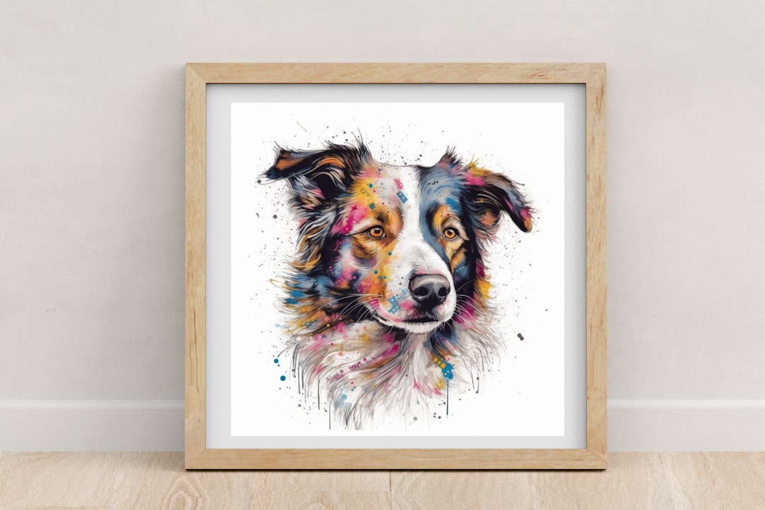 Border Collie Print | Border Collie | Border Collie Poster ...