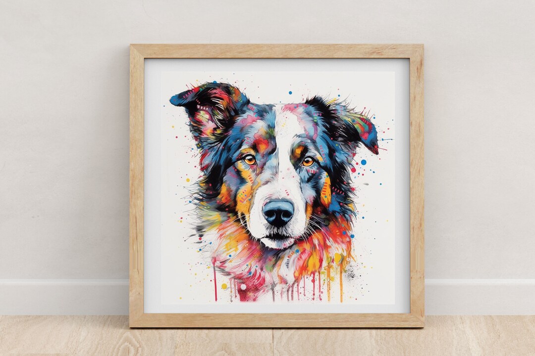 Border Collie Print | Border Collie | Border Collie Poster ...