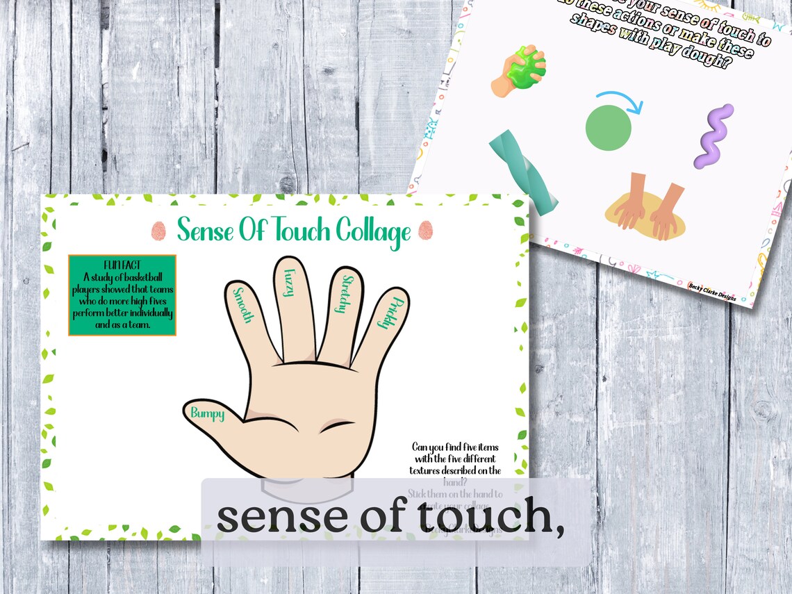 Five Senses Activities Printable for the 5 Senses Activity Montessori ...