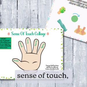 Five Senses Activities Printable for the 5 Senses Activity Montessori ...