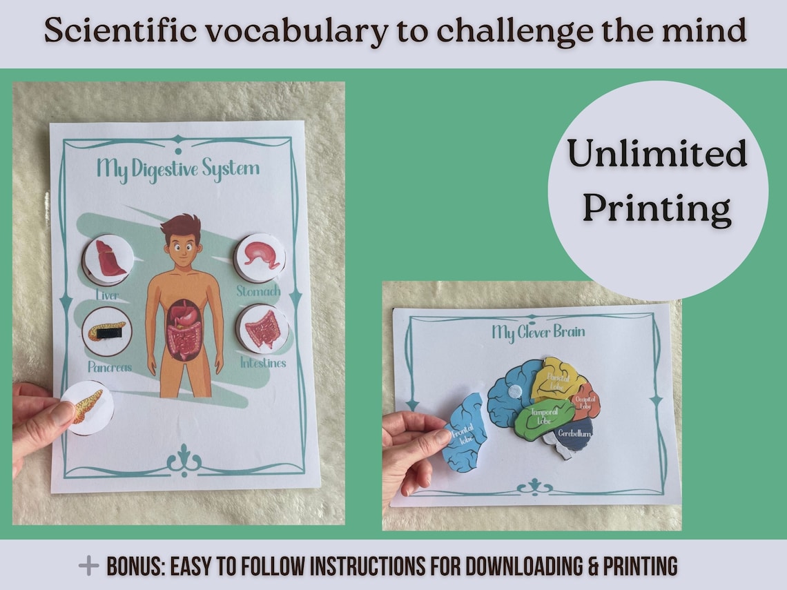 Biology My Body Anatomy Bundle Printable Human Anatomy Worksheets for ...