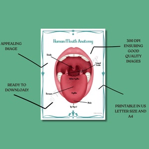 Human Mouth Anatomy Activity High School Biology Resource Secondary ...