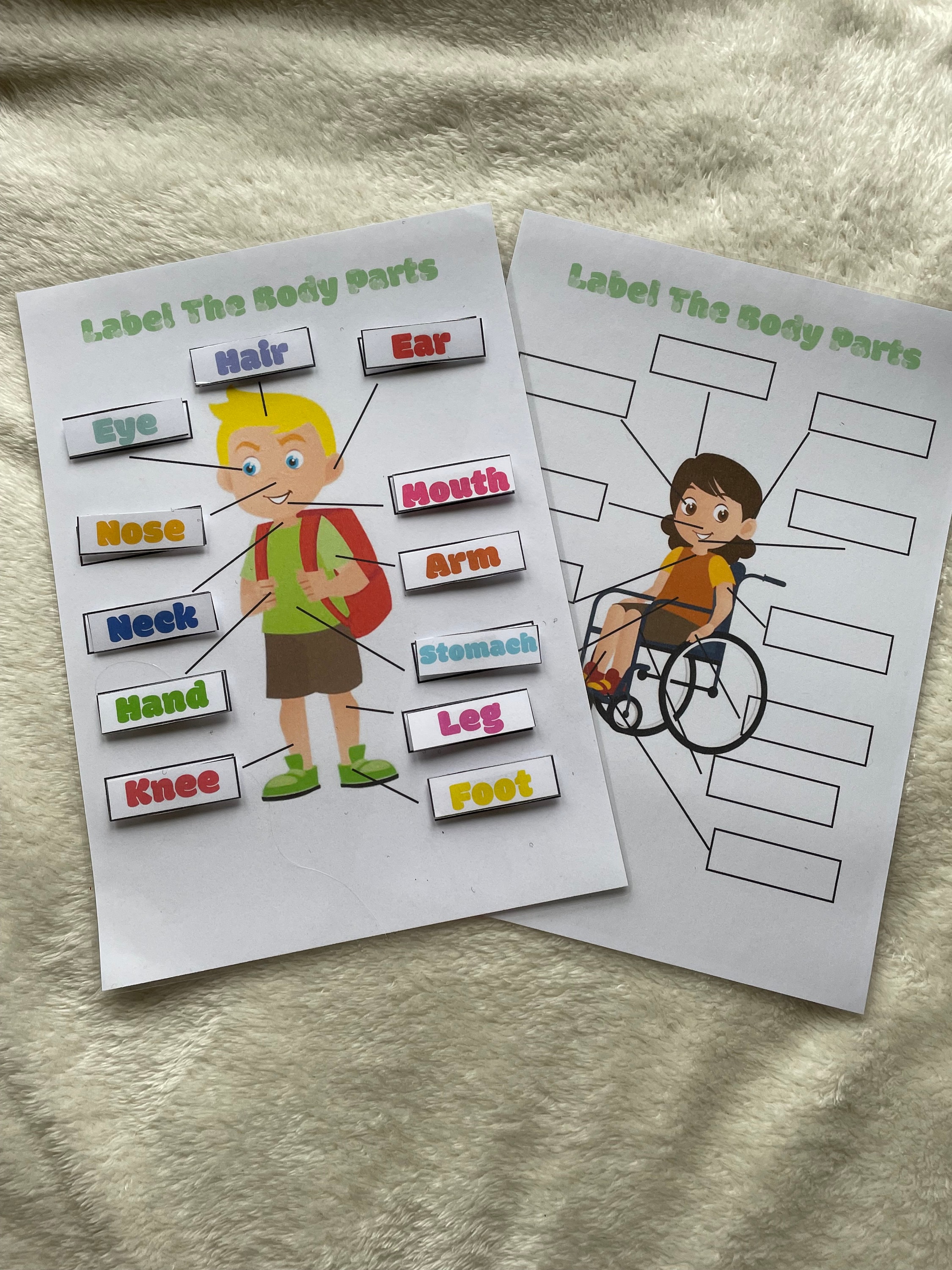 Body Parts Activity Printable My Body Early Years Resources Homeschool ...
