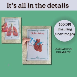 Biology Anatomy Ultimate Bundle Printable Human Anatomy Worksheets for ...