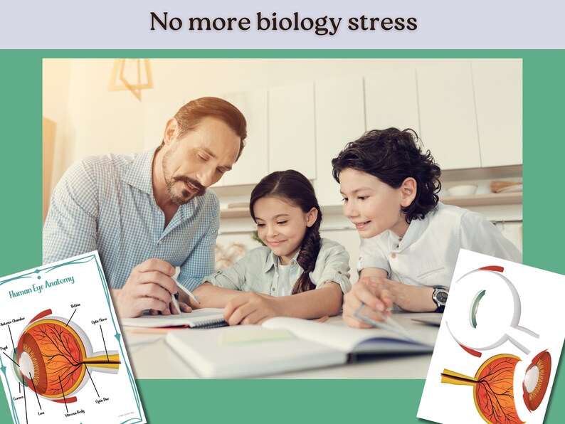 Human Eye Anatomy Printable Worksheet Sense of Sight Activity Biology ...