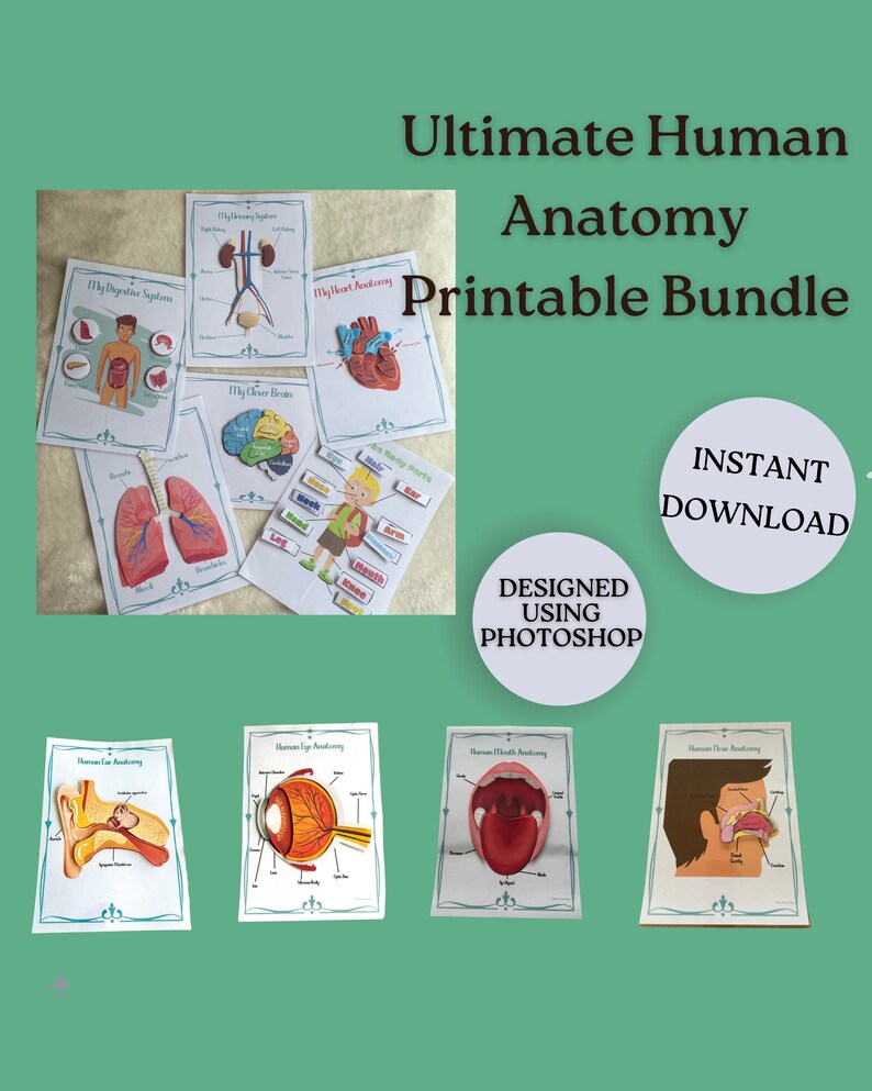 Science Anatomy Ultimate Bundle Printable Human Anatomy Worksheets for ...