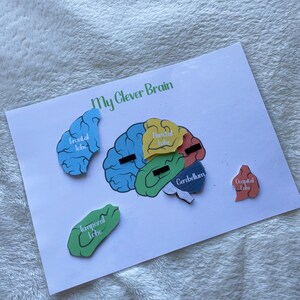 Parts of the Brain Printable Worksheet Brain Anatomy Teaching Resource ...