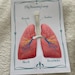 Lungs Anatomy Activity Printable Parts of the Lungs Resources Body ...