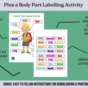 Biology My Body Anatomy Bundle Printable Human Anatomy Worksheets for ...