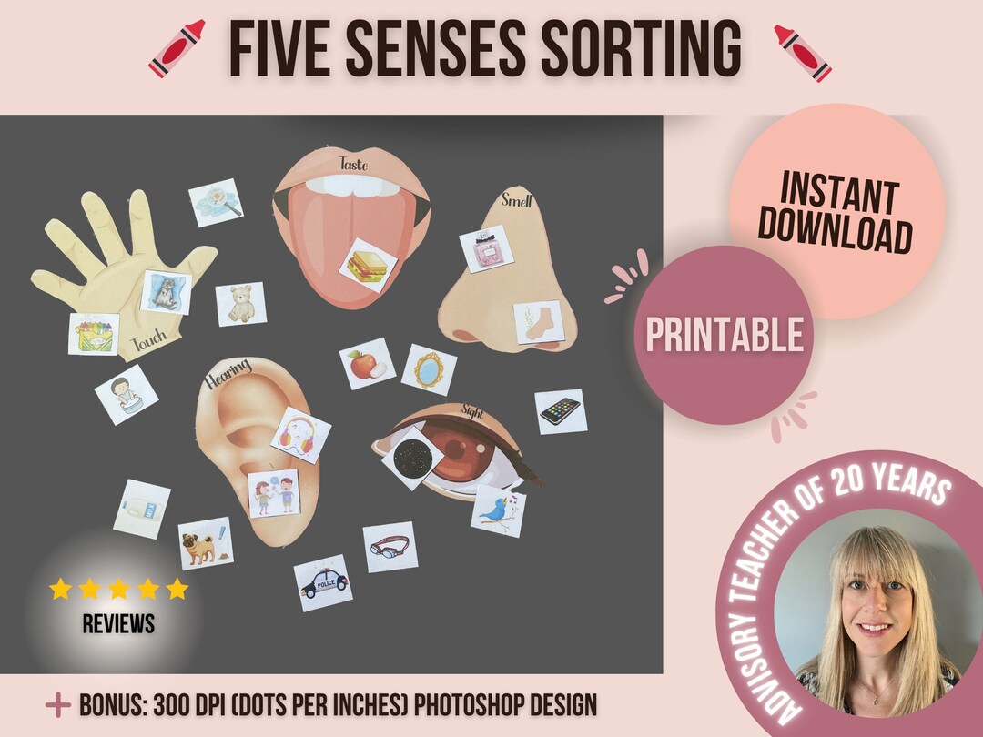 Science Resource for Teachers Five Senses Printable Activity Teachers ...