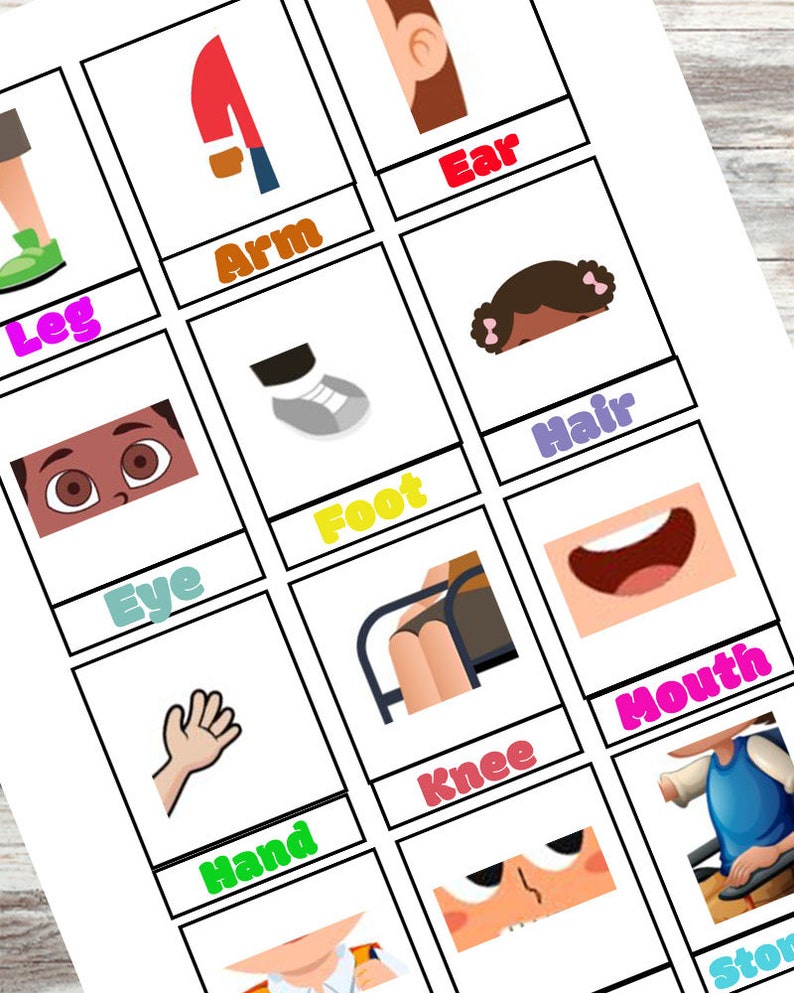 Body Parts Activity Printable My Body Early Years Resources Homeschool ...