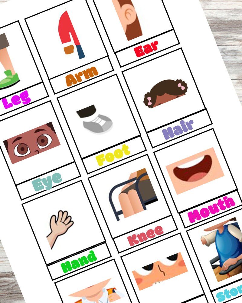 Body Parts Activity Printable My Body Early Years Resources Homeschool ...