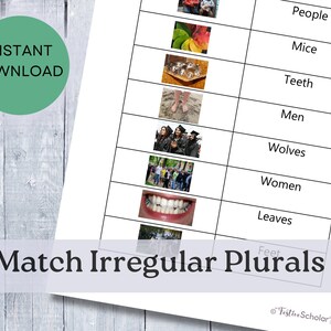 Plurals English Grammar Worksheets for ESL Pupils Homeschool English ...