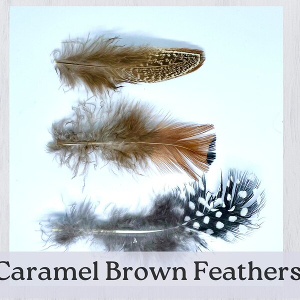 Speckled Feathers - Etsy
