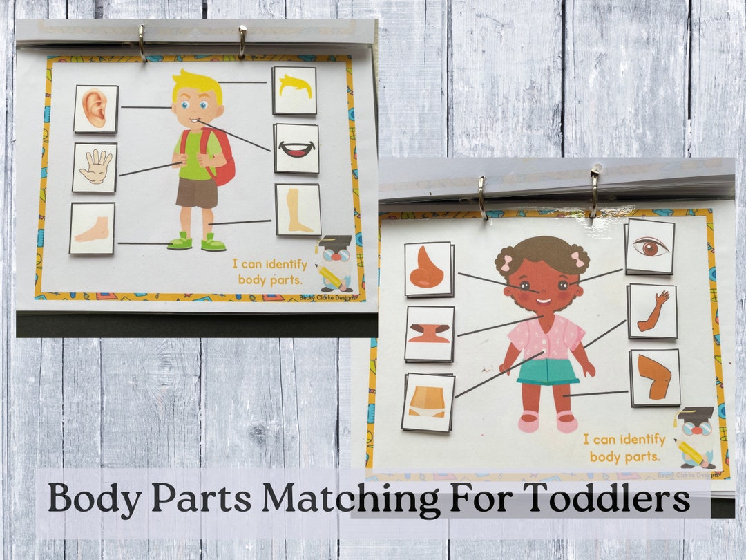 Body Parts Activity Printable for Toddlers Parts of the Body Printable ...