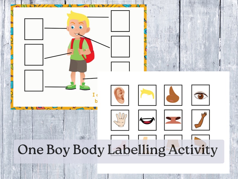 Body Parts Activity Printable for Toddlers Parts of the Body Printable ...