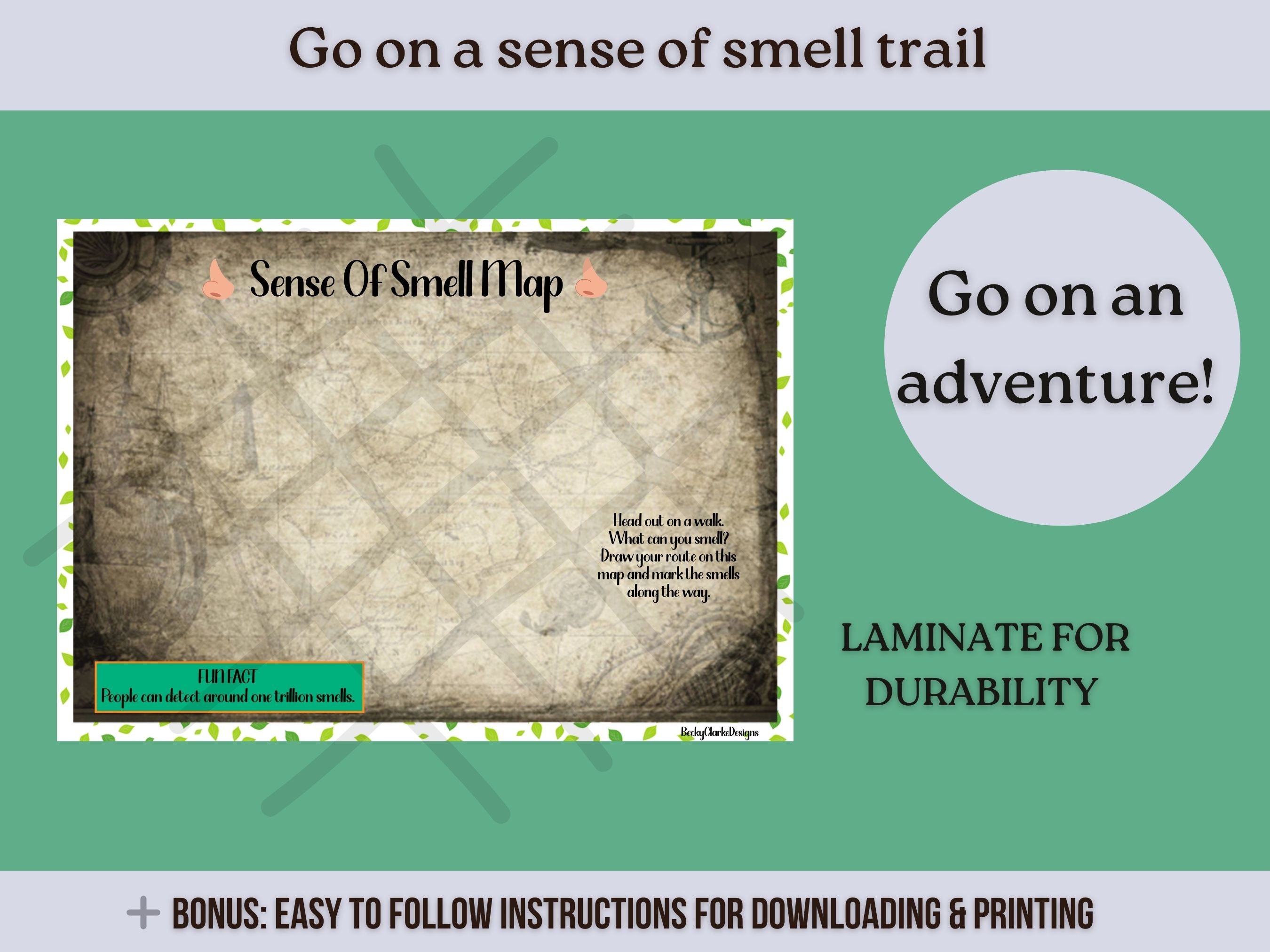 Five Senses Teaching Activities Teacher 5 Senses Printable Montessori ...