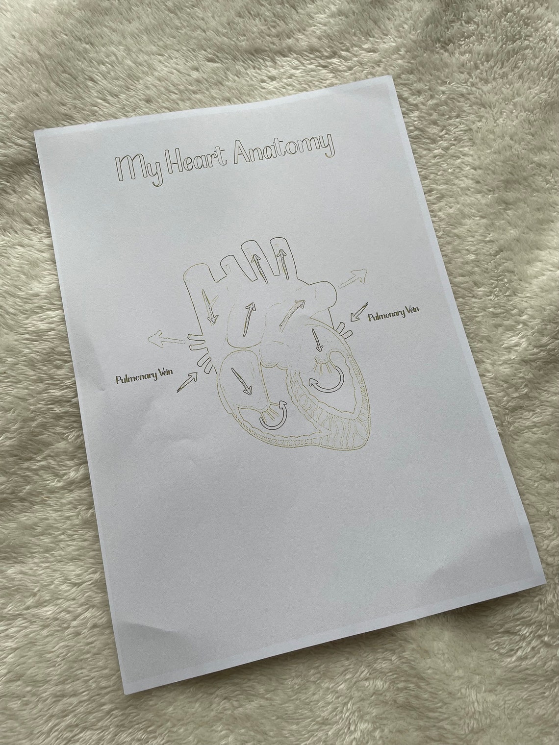 Heart Anatomy Labelling Activity Printable Parts of the Heart Resources ...