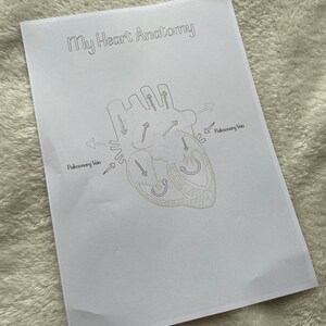 Heart Anatomy Labelling Activity Printable Parts of the Heart Resources ...