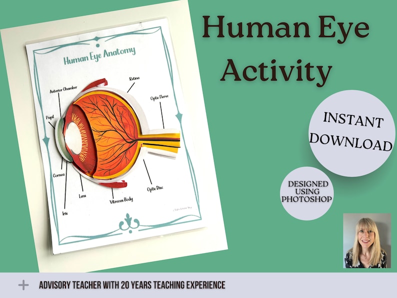 Human Eye Anatomy Printable Worksheet Sense of Sight Activity Biology ...