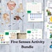 Five Senses Activities Printable for the 5 Senses Activity Montessori ...