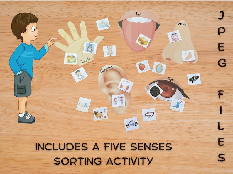Five Senses Activities Printable for the 5 Senses Activity - Etsy