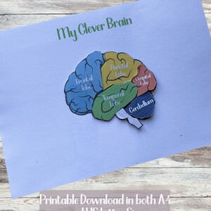 Parts of the Brain Printable Worksheet Brain Anatomy Teaching Resource ...