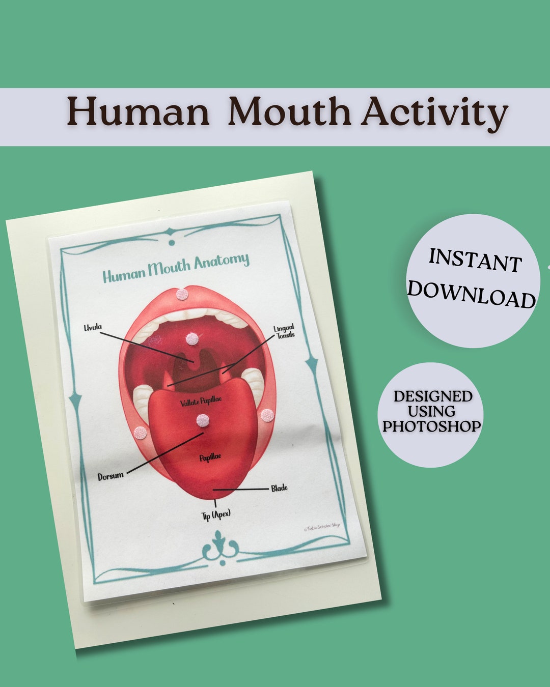 Human Mouth Anatomy Activity High School Biology Resource Secondary ...