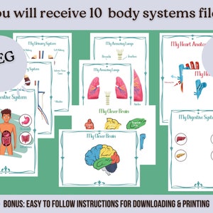 Biology My Body Anatomy Bundle Printable Human Anatomy Worksheets for ...