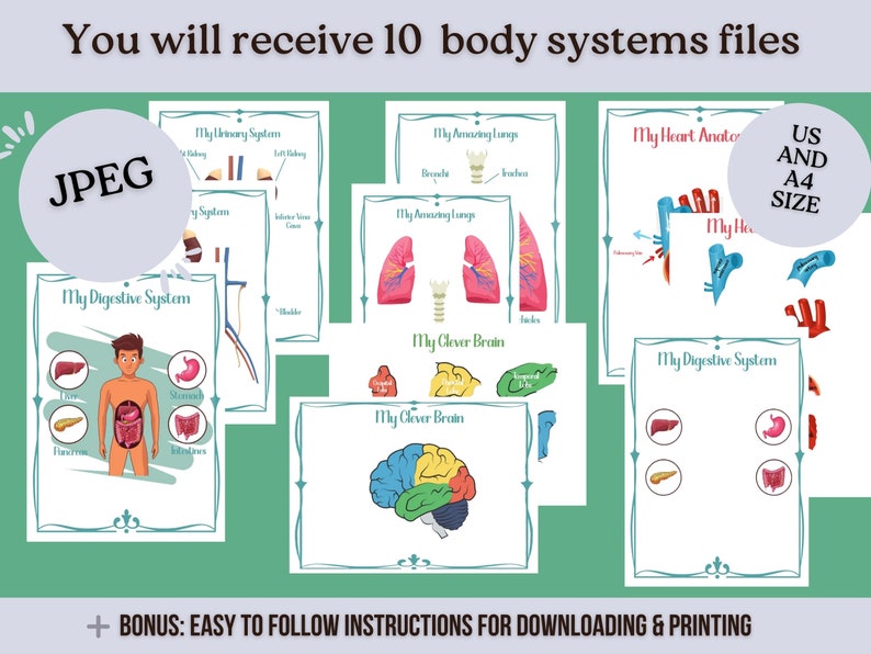 Biology My Body Anatomy Bundle Printable Human Anatomy Worksheets for ...