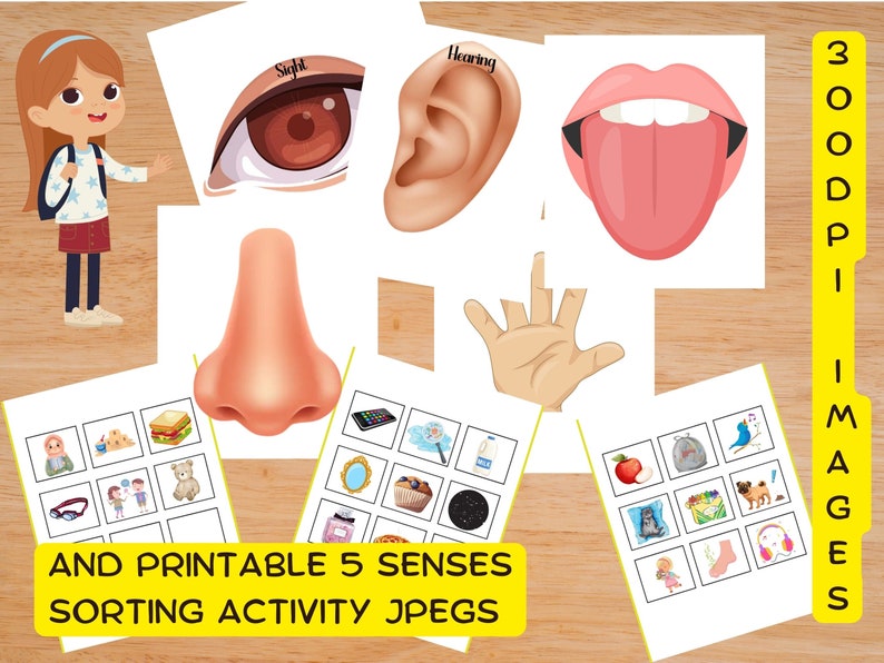 Five Senses Activities Printable for the 5 Senses Activity - Etsy