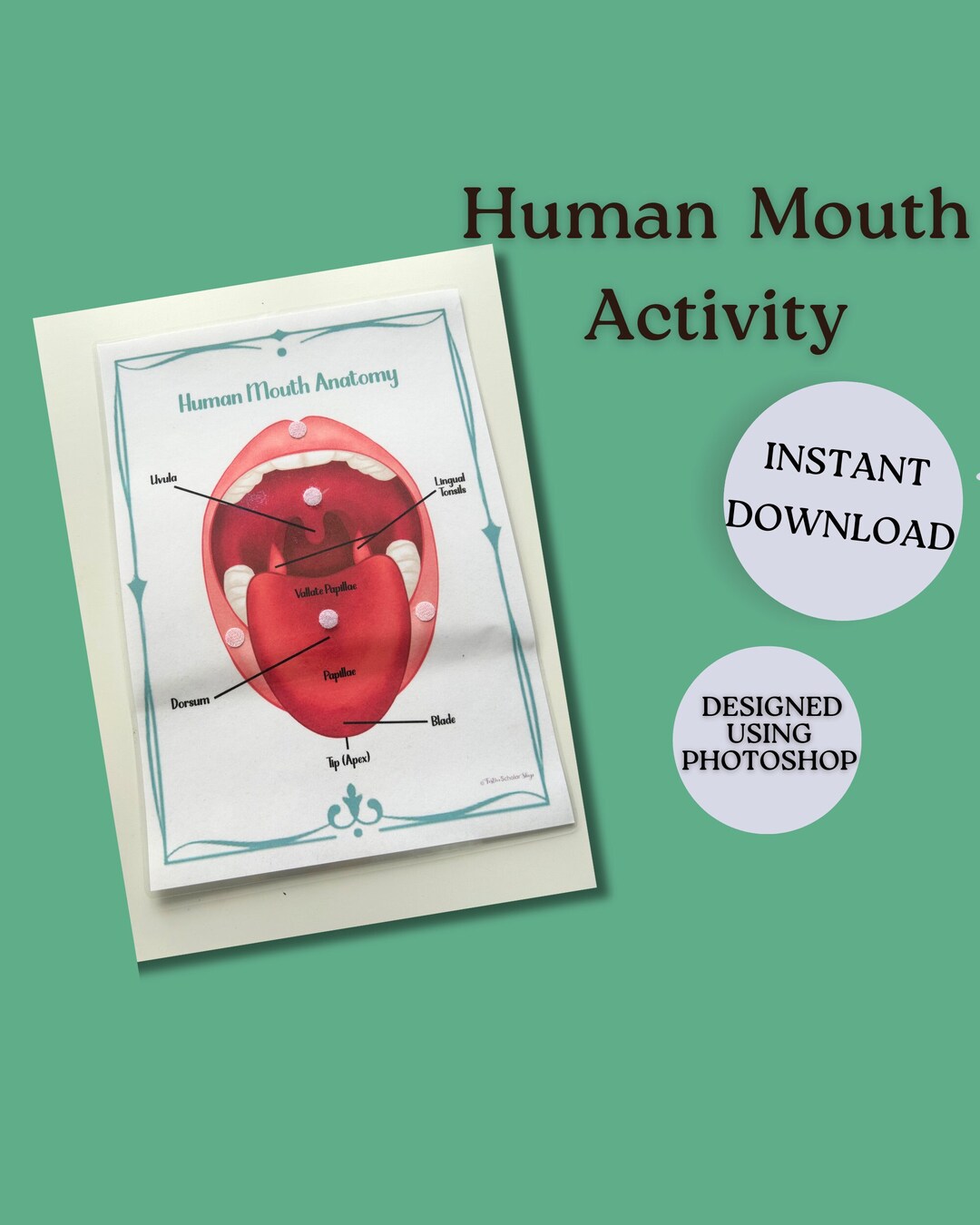 Human Mouth Anatomy Activity High School Biology Resource Secondary ...