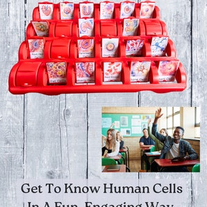 Biology Human Cell Flashcards for Guessing Game Printable Science ...