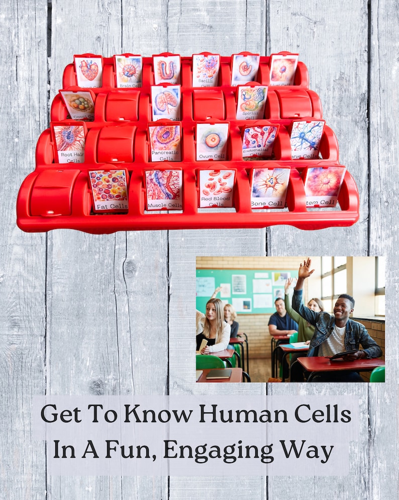 Biology Human Cell Flashcards for Guessing Game Printable Science ...