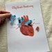 Heart Anatomy Labelling Activity Printable Parts of the Heart Resources ...