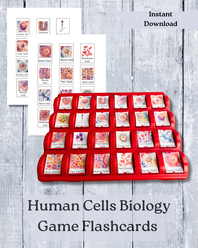 Biology Human Cell Flashcards for Guessing Game Printable Science ...