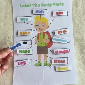 Human Anatomy Printable Bundle Parts of the Body Worksheets Printable ...