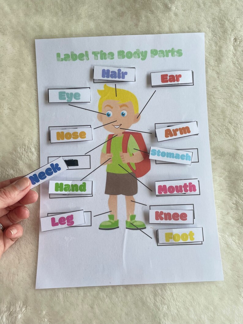 Human Anatomy Printable Bundle Parts of the Body Worksheets Printable ...