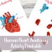 Heart Anatomy Labelling Activity Printable Parts of the Heart Resources ...