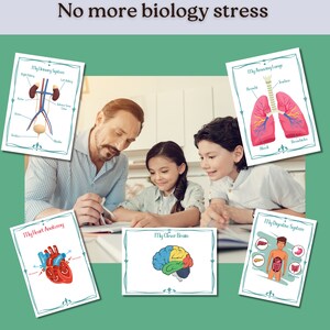 Science Anatomy Ultimate Bundle Printable Human Anatomy Worksheets for ...