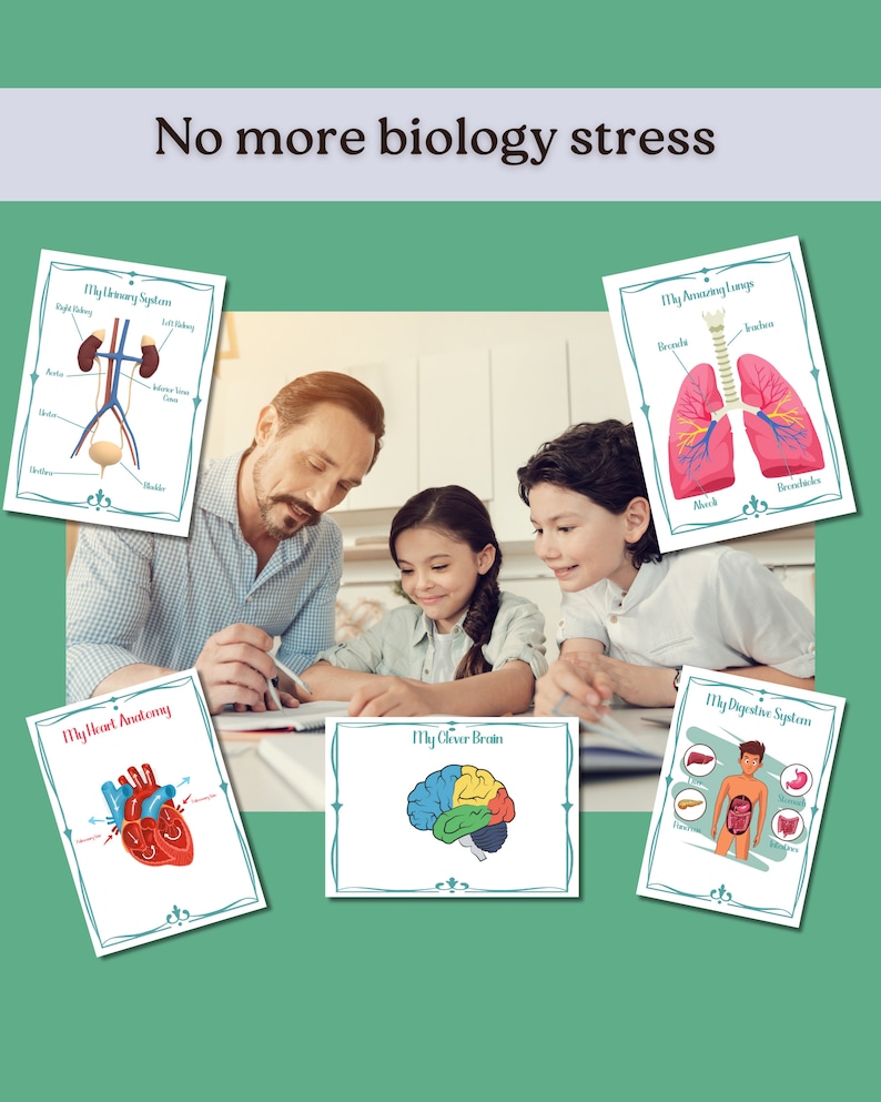 Science Anatomy Ultimate Bundle Printable Human Anatomy Worksheets for ...