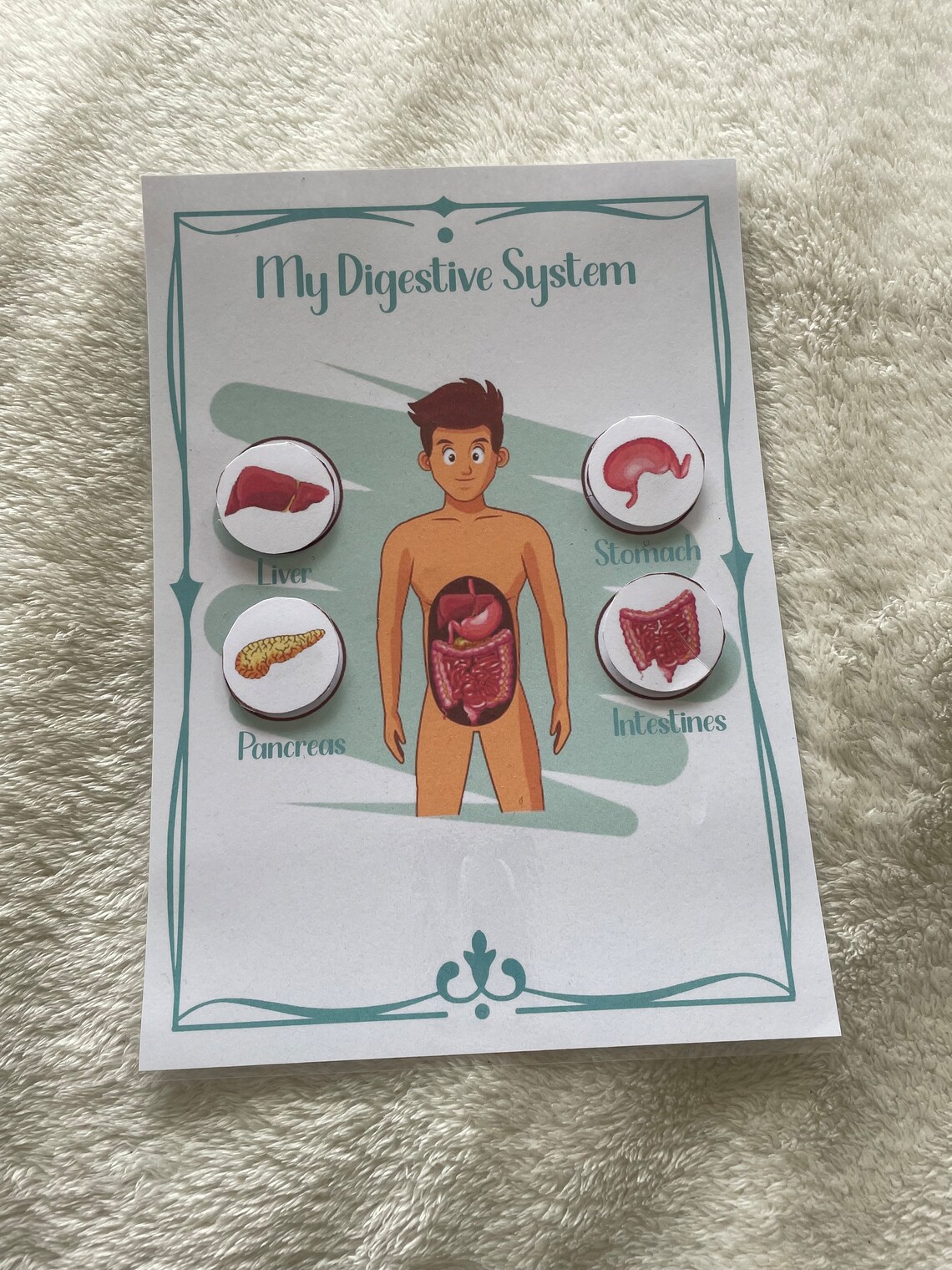 Digestive System Activity Printable Digestive System Resources ...