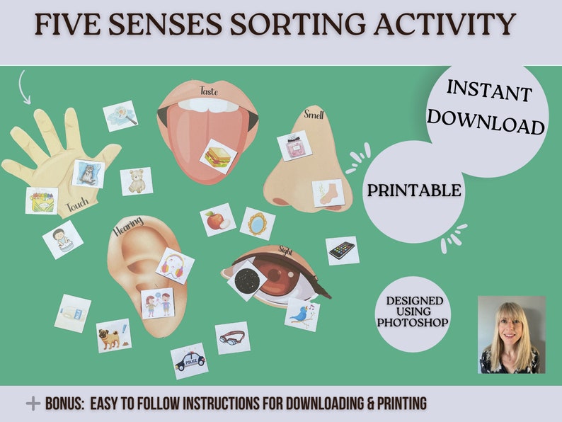 Five Senses Sorting Activity Printable 5 Senses Resource for Homeschool ...