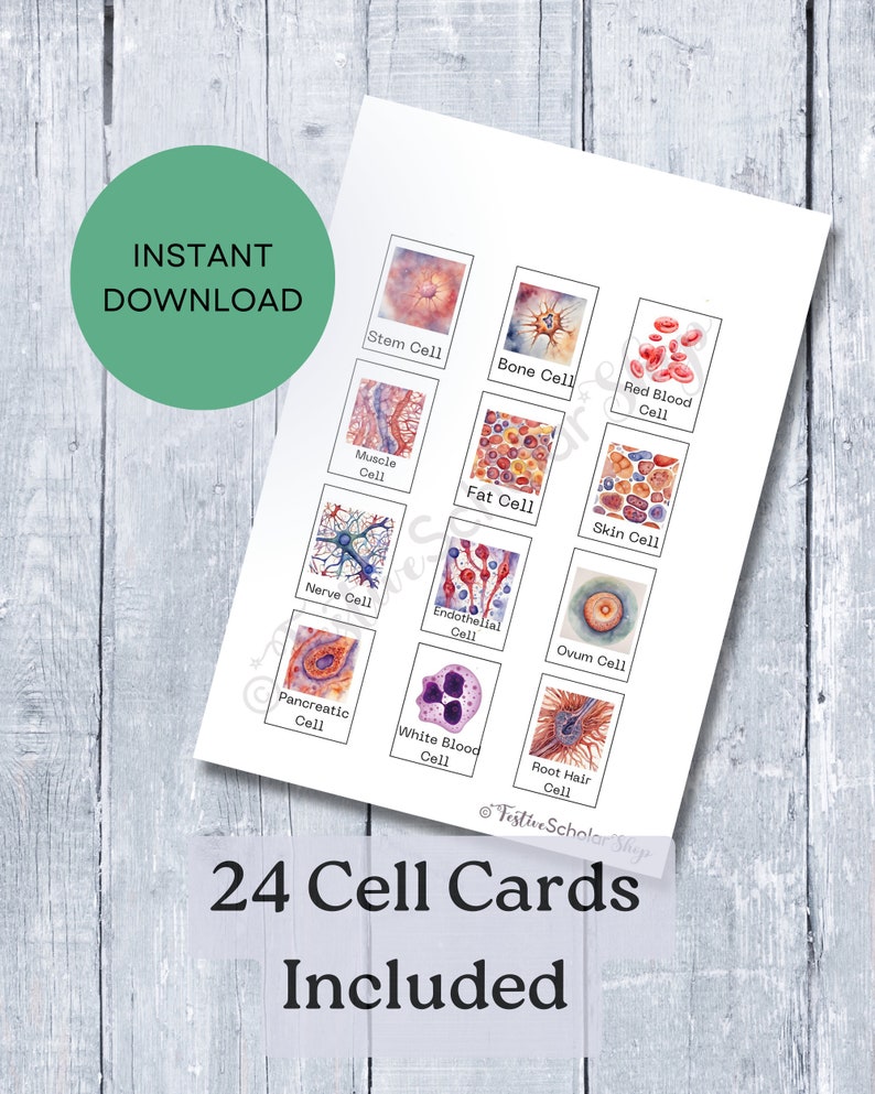 Biology Human Cell Flashcards for Guessing Game Printable Science ...
