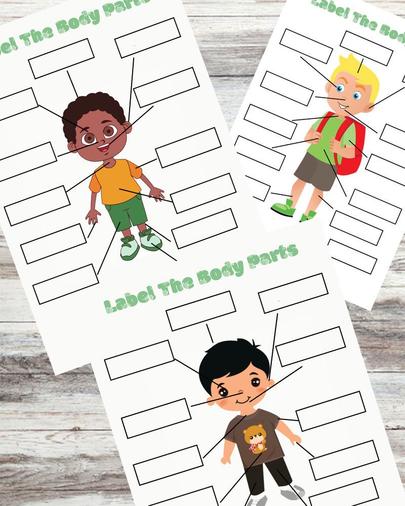 Body Parts Activity Printable My Body Early Years Resources Homeschool ...