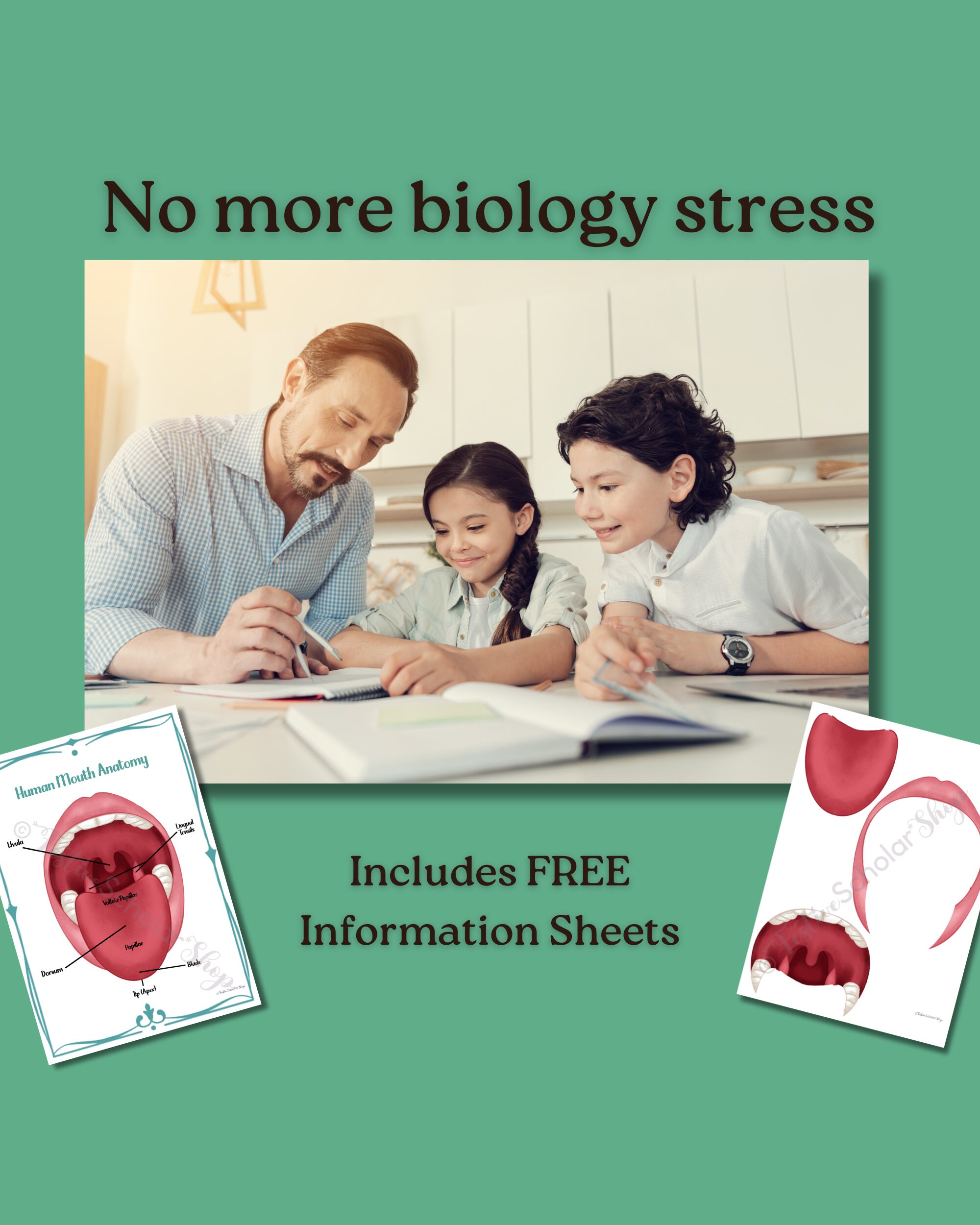 Human Mouth Anatomy Activity High School Biology Resource Secondary ...